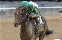 Philip Serpe - Trainer