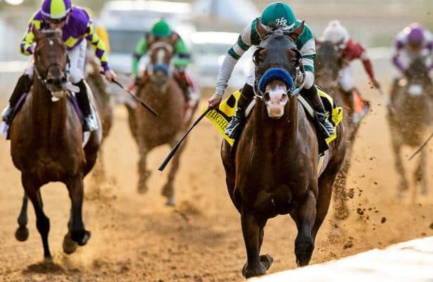 Watch: TVG's 'All Access' on the makings of a Grade 1 broadcast
