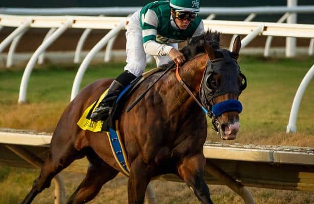 Higher Power back to work, 'as good as ever' after Pegasus dud