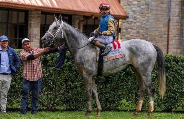 Speed figures: These are last week's fastest stakes winners