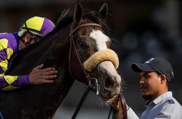 Honor A. P. looks to make own trip as the Shared Belief favorite