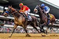 Michael Pegram - Owner