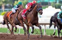 Michael Pegram - Owner