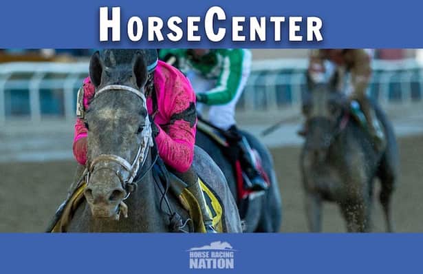 HorseCenter: Zipse, Shifman handicap Grade 1s at Spa, Del Mar