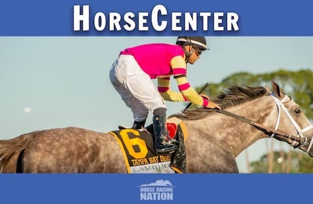 HorseCenter: Belmont Derby, Indiana Derby, Cornhusker picks HorseCenter: Belmont Derby, Indiana Derby, Cornhusker picks