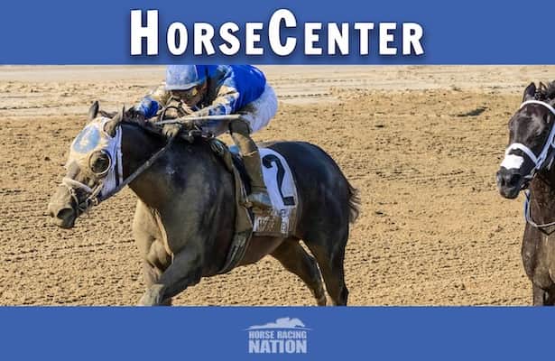 HorseCenter: Breeders’ Cup long-shot picks from Zipse, Shifman