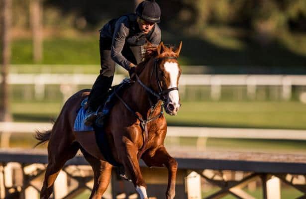 Improbable, Maximum Security among Sunday's graded-stakes workers