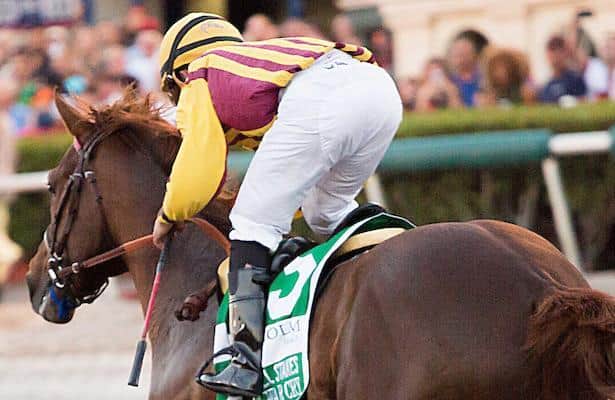 Weekend Rewind: Irish War Cry shows no quit in return race