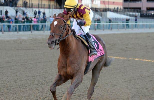 Irish War Cry ‘perfect’ in final Kentucky Derby 2017 breeze (VIDEO)