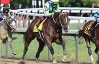 Steven Asmussen - Trainer