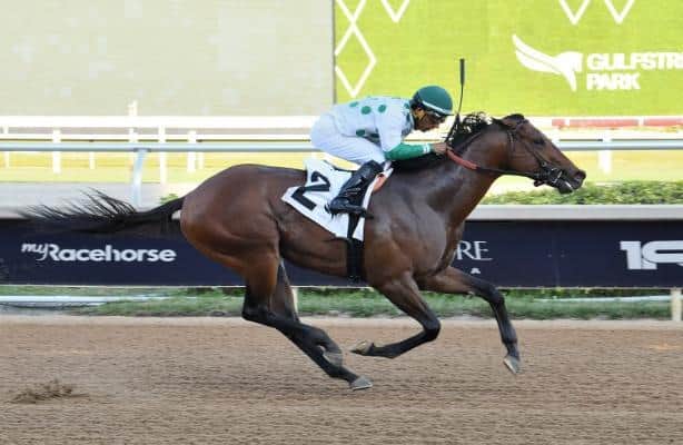 Jack's Promise delivers in Gulfstream Park Sprint upset