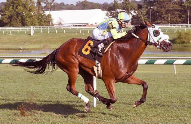 John Jones a 40-1 Upset in Mister Diz