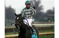 Joseph Rocco, Jr. - Jockey