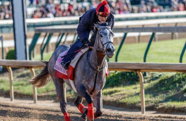 Tomlinson targets summer stakes campaign for Jordan's Henny