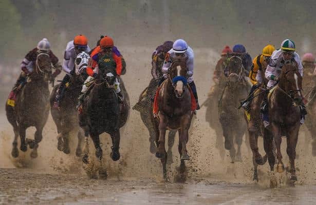Study: Field size a leading factor in horse racing handle
