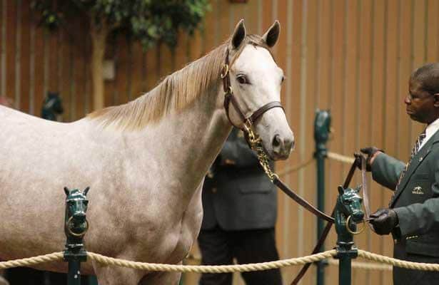 Keeneland Yearling Sale Barn Notes - Sept 11