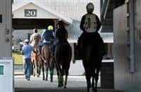 Cherie DeVaux - Trainer