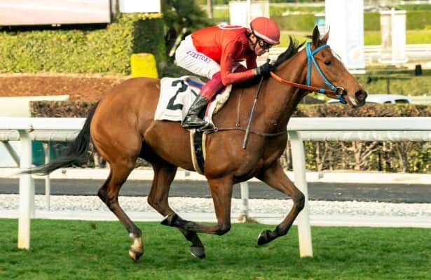 Santa Anita: England-bred seeks U.S. stakes score in Santa Ana