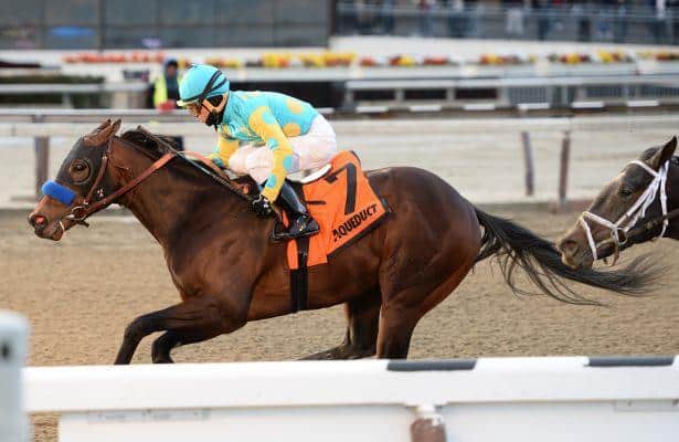 Zayat Stable’s King Kranz breaks maiden in stakes race to open 2016