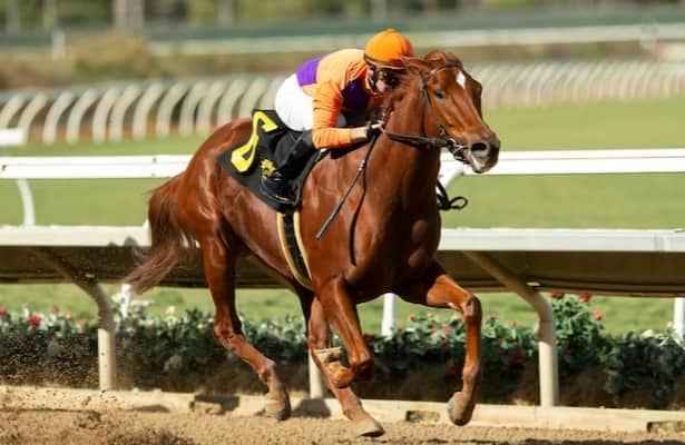 Santa Anita: Debut winner Kopion leads 5 in Santa Ynez