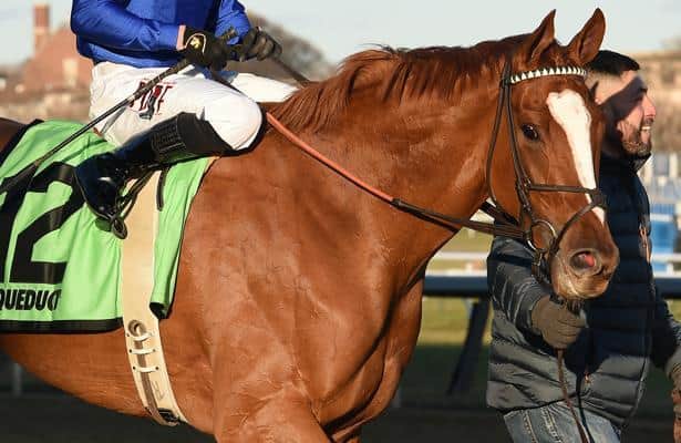 2-year-old pedigrees: Lake Avenue leads new Oaks hopefuls