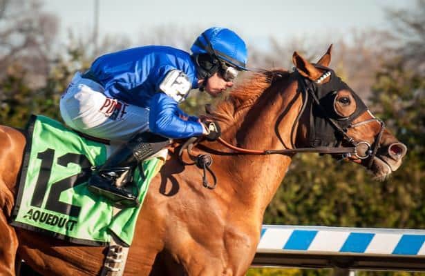 Lake Avenue's done 'little wrong' heading into Aqueduct's Busher
