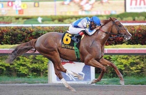 Lea and Luis Saez hit milestones in Hal's Hope
