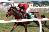 Rafael Bejarano - Jockey