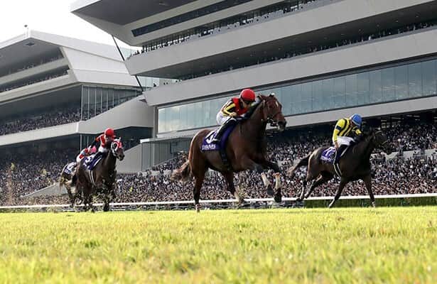 Liberty Island wins Shuka Sho, sweeps Japan fillies triple crown