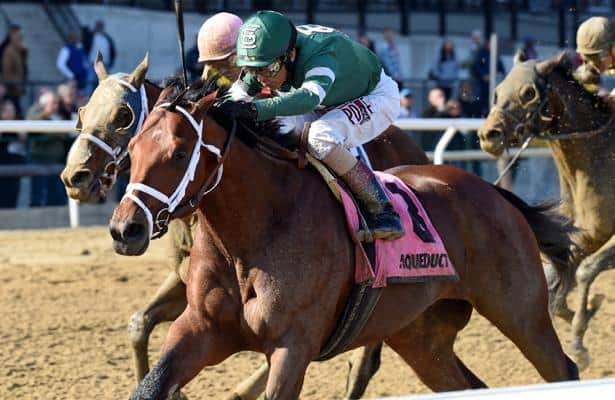 'A little more in the tank' for Excelsior winner Life's a Parlay