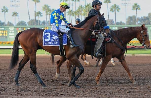 Litmus Test, Explora headline Rebel and Honeybee at Oaklawn