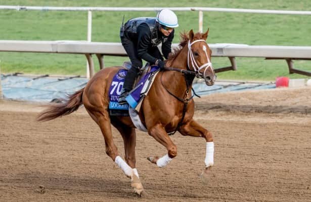 Locked is hurt, won’t go in Kentucky Derby or rest of Triple Crown