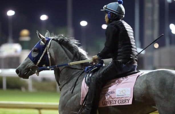 Lovely Grey targets Saratoga turf after Kentucky Oaks 2026