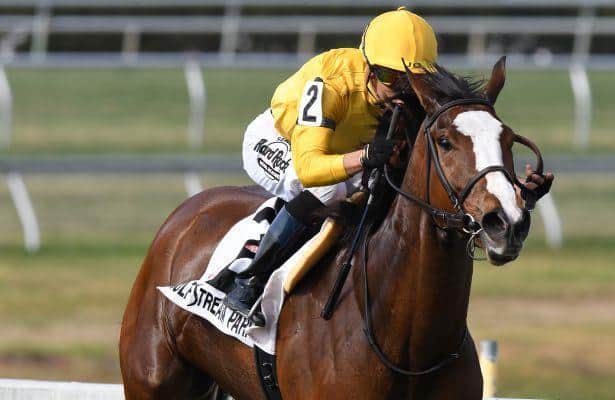 Lull sets fast pace and holds off Res Ipsa in Honey Fox
