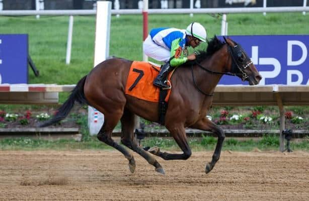 Delaware Oaks: Luv Your Neighbor runs down Dazzling Dame