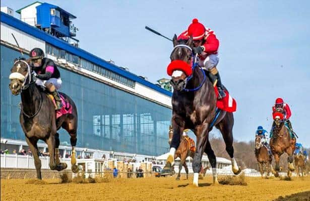 Maryland stakes winners Lebda, Princess Cadey 'ready when they say go'