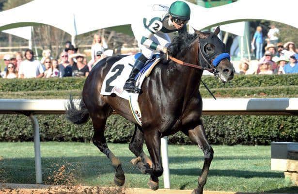 Mor Spirit topples a tough field of seven others in Essex