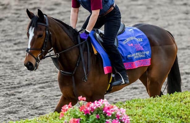 Analysis: Magic Wand stands out on Pegasus World Cup turf list