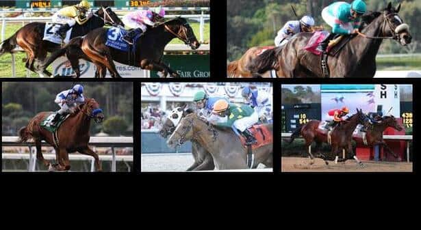 What a Day at the Races!