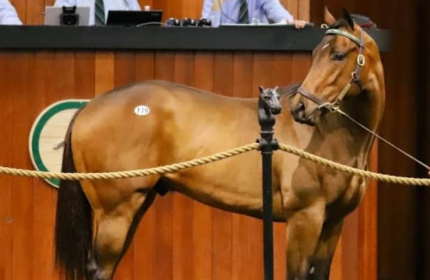 Maxfield colt sells for $1 million at OBS 2-year-olds sale