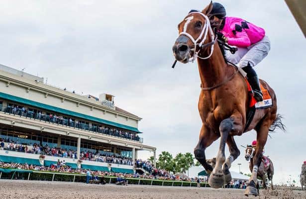 Horse racing in the national TV spotlight on NBCSN, Fox Sports