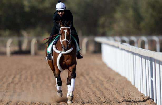 Saudi Cup 2020: Post positions, odds and analysis