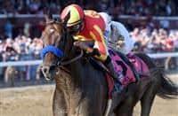 Michael Pegram - Owner