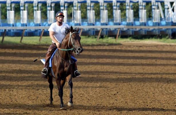 From ‘rock bottom,’ Rone climbing with Trigger Warning
