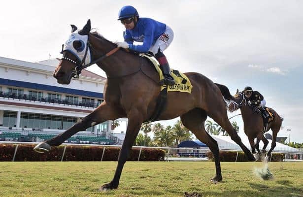 Racing rarity: Half-siblings Proxy, Micheline share spotlight Saturday