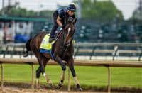 Steven Asmussen - Trainer