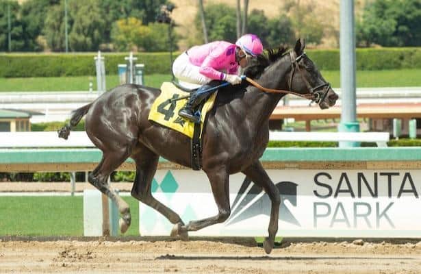 Santa Anita: Midnight Mammoth, Getaway Car lead San Pascual