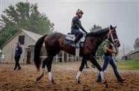 Todd Pletcher - Trainer