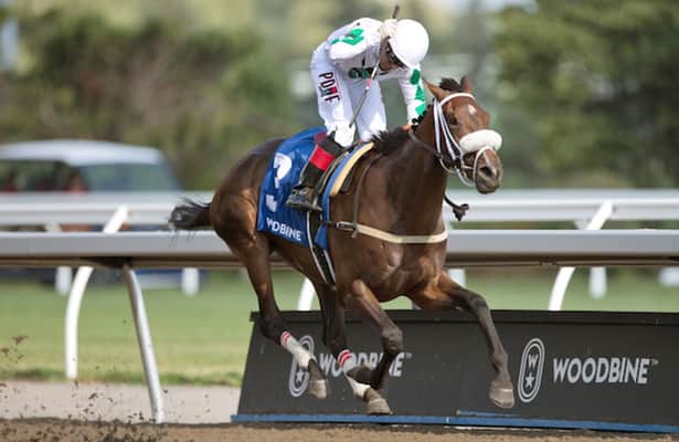 Horse Racing Nation – The fan-powered horse racing community