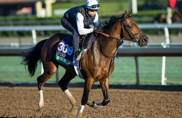 Money Multiplier to tally more miles after Arlington Million 2018